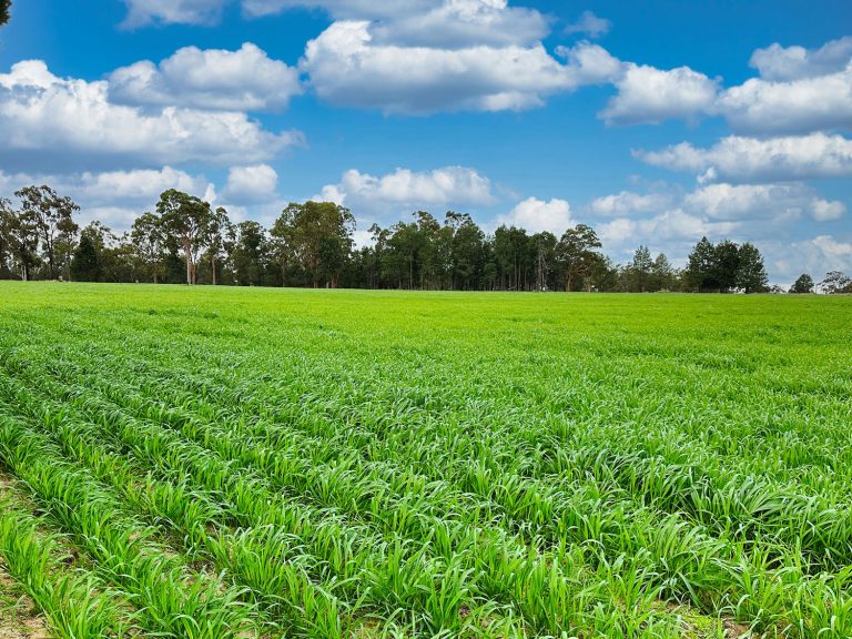 Pure Environmental - Innovative Hazardous Waste & Resource Recovery ...